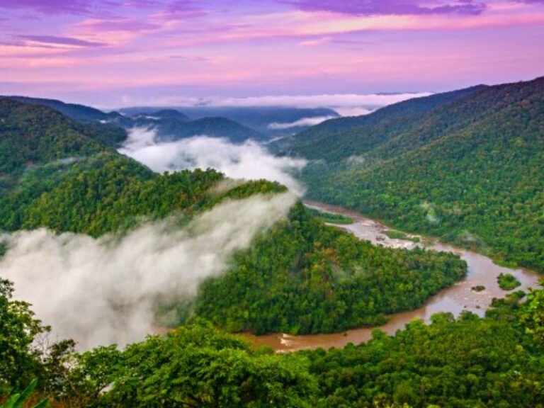 Things To Do In Dandeli [2021] | Monks on Wheels