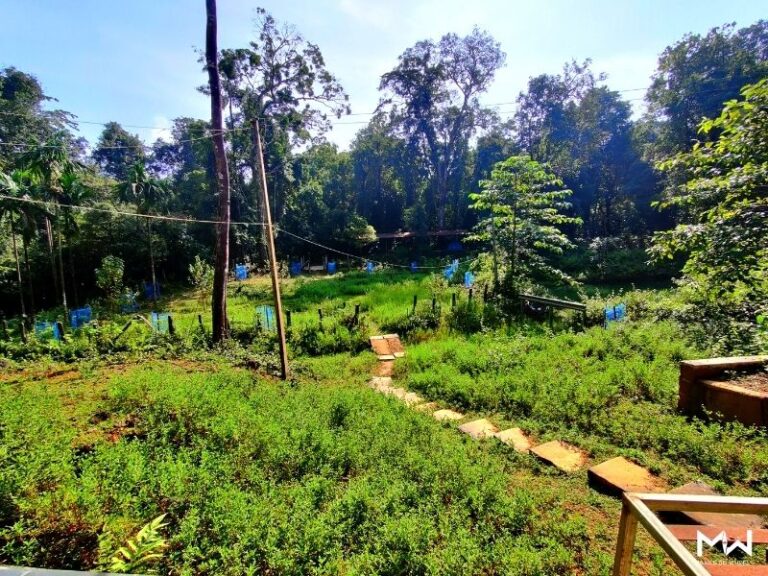 Agumbe Waterfalls Trek and Jungle Camping | Monks on Wheels