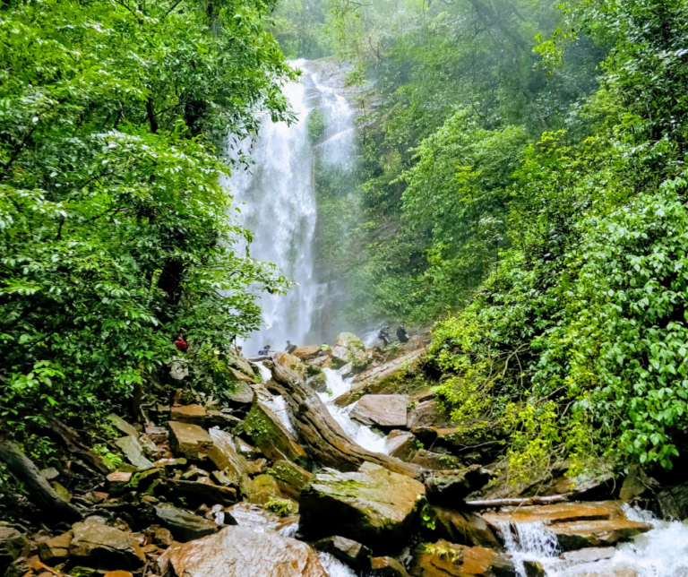 Things To Do In Kodachadri | Definitive Guide | Monksonwheels