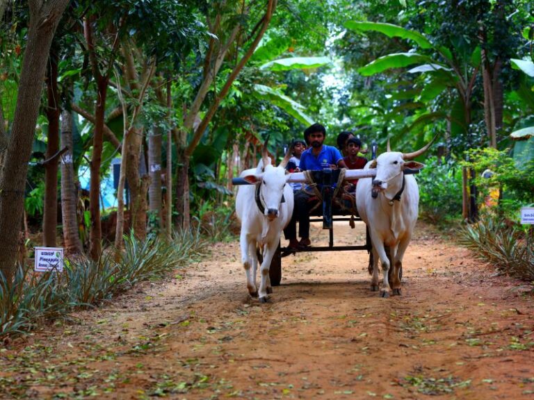 Camping at Akshayakalpa Organic Farm | Monks on Wheels